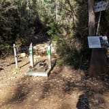 Arm River Track to Mount Ossa, Tasmania, Australia - 36 Reviews, Map ...