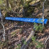 Arm River Track to Mount Ossa, Tasmania, Australia - 36 Reviews, Map ...