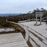 Arm River Track to Mount Ossa, Tasmania, Australia - 36 Reviews, Map ...