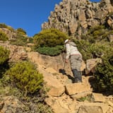 Arm River Track to Mount Ossa, Tasmania, Australia - 36 Reviews, Map ...