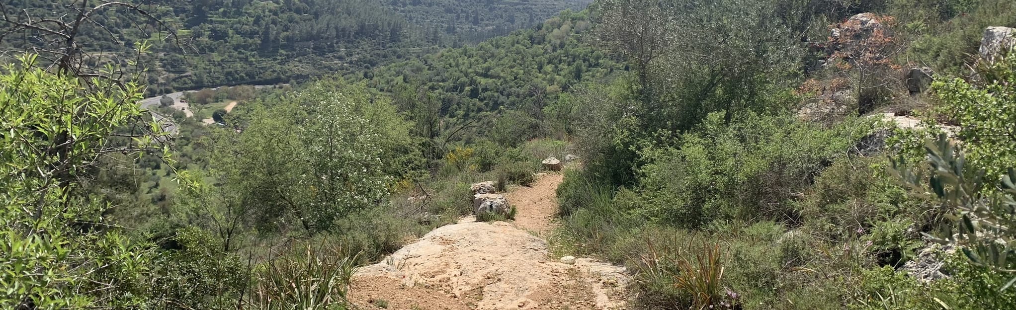 הר חרת לפינת עופר דרך נחל שורק ושביל הכפר - Jerusalem, Israel | AllTrails