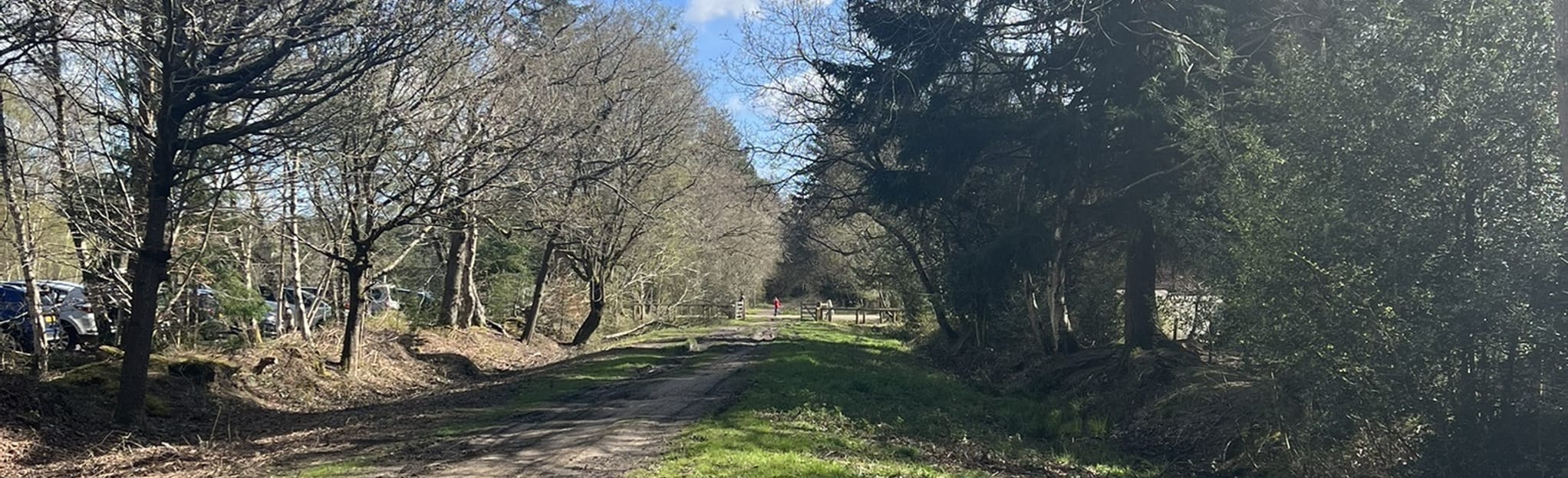 Shipwrights' Way: Bentley to Alice Holt Forest: 1 Reviews, Map - Surrey ...