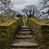 Romaldkirk Circular, County Durham, England - 91 Reviews, Map | AllTrails