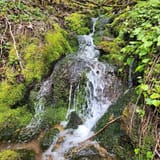 Tarbell Trail Hidden Falls , Washington - 110 Reviews, Map | AllTrails