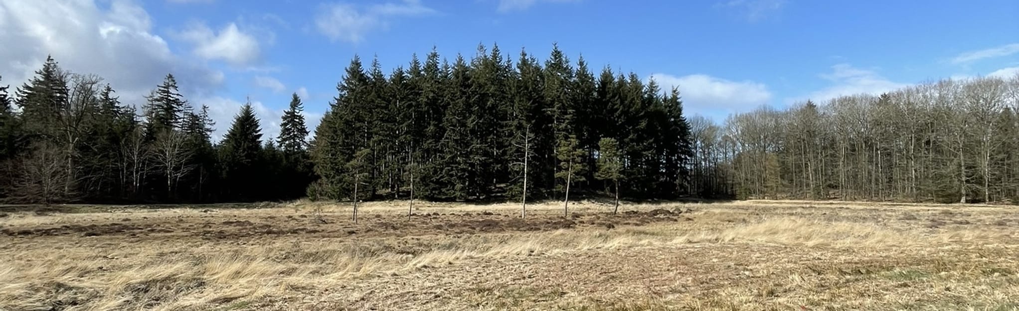 Gærup Skov Rundt: 5 Reviews, Map - Region of Southern Denmark, Denmark ...