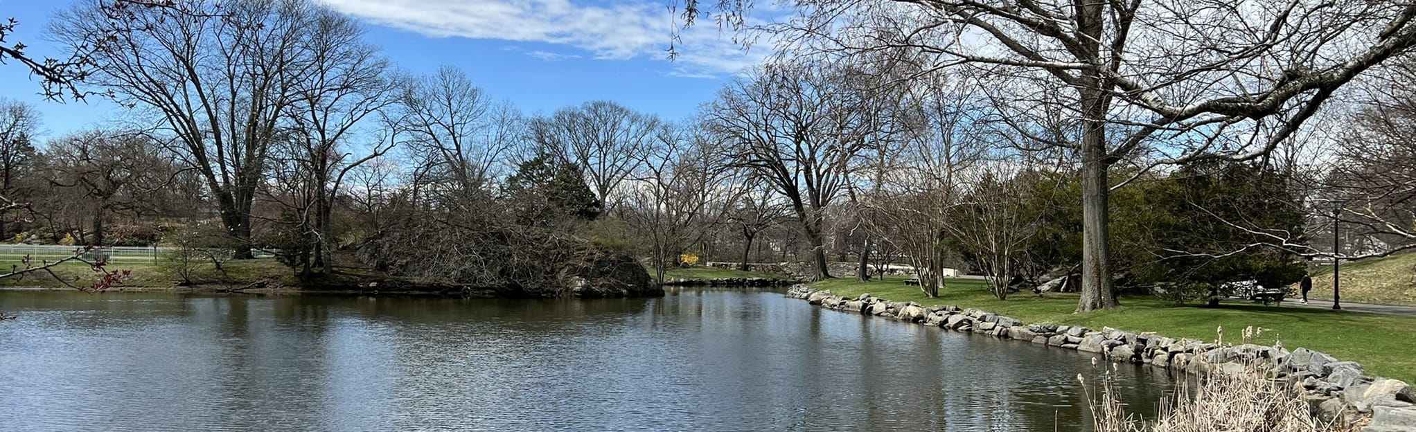 Bruce Park Loop, Connecticut - 75 Reviews, Map | AllTrails