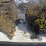 Yantic Falls, Connecticut - 181 Reviews, Map | AllTrails