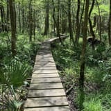 Neusiok Trail Northern Half, North Carolina - 168 Reviews, Map | AllTrails