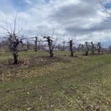 Swope Loop to Pine Hill, New Hampshire - 160 Reviews, Map | AllTrails