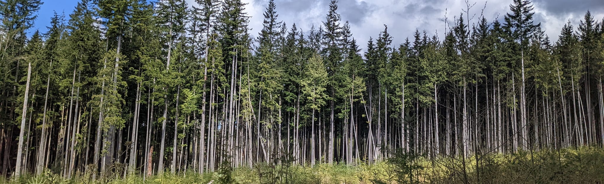 Hump and Hemp Hill, Loggers, and Spur Q: 2 Reviews, Map - British ...