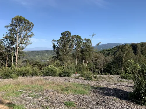 Best 10 Hikes and Trails in Wunderlich County Park | AllTrails