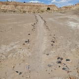 Miller Point and Juniper Draw Loop, Nevada - 127 Reviews, Map | AllTrails