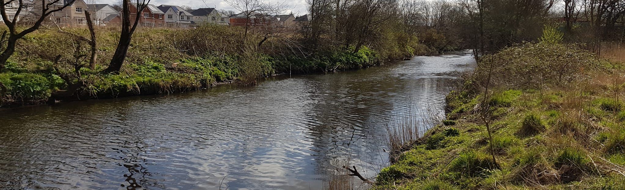 Jenny's Well Nature Reserve Northern Loop: 3 Reviews, Map ...