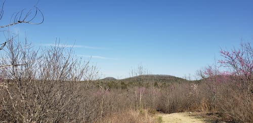 Best Hikes and Trails in Pilot Knob Conservation Area | AllTrails