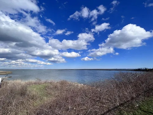 2023 Best Forest Trails in Wantagh | AllTrails