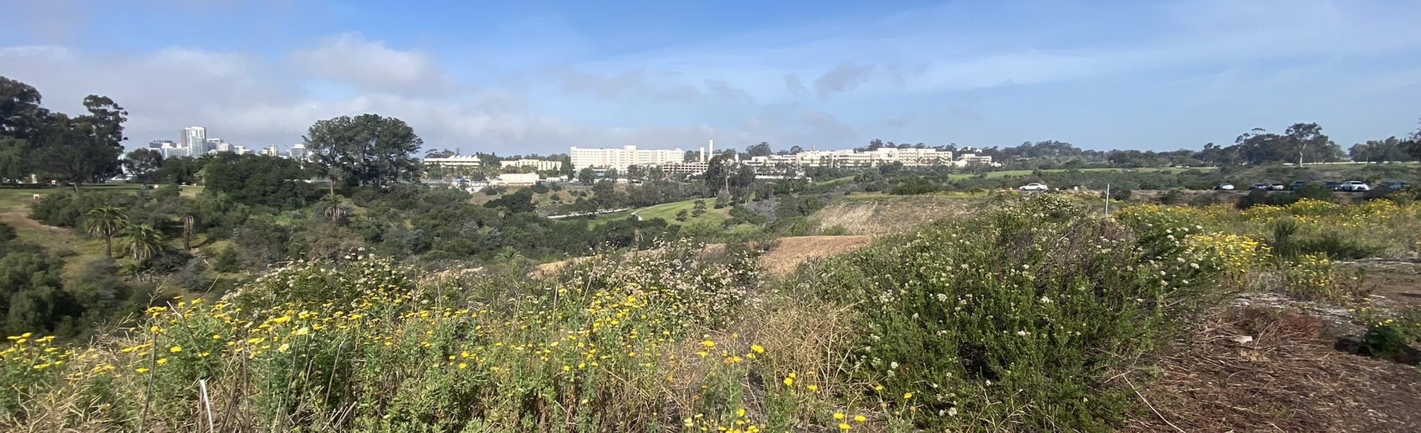 Balboa Park Loop: 805 Reviews, Map - California | AllTrails