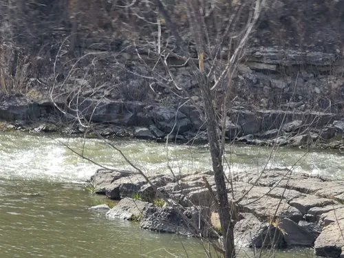 Best Hikes and Trails in Cold Springs State Park | AllTrails