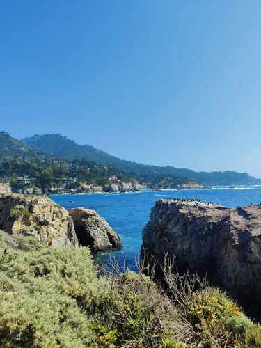 10 Best Hikes and Trails in Point Lobos State Natural Reserve | AllTrails