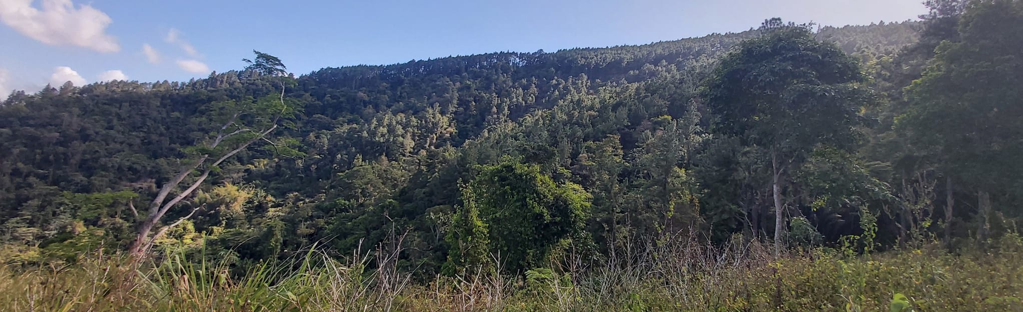 Lopinot Circular - Tunapuna-Piarcoal, Trinidad and Tobago | AllTrails