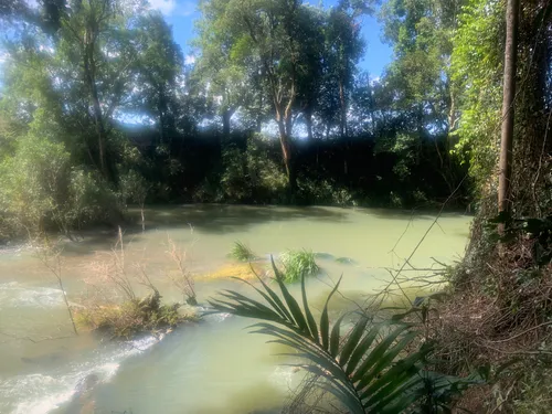 Best Hikes and Trails in Coramba Nature Reserve | AllTrails