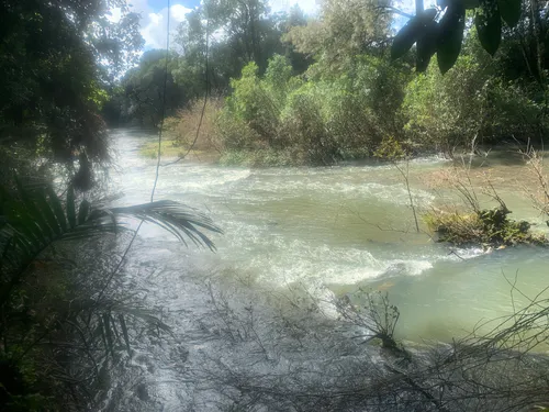 Best Hikes and Trails in Coramba Nature Reserve | AllTrails