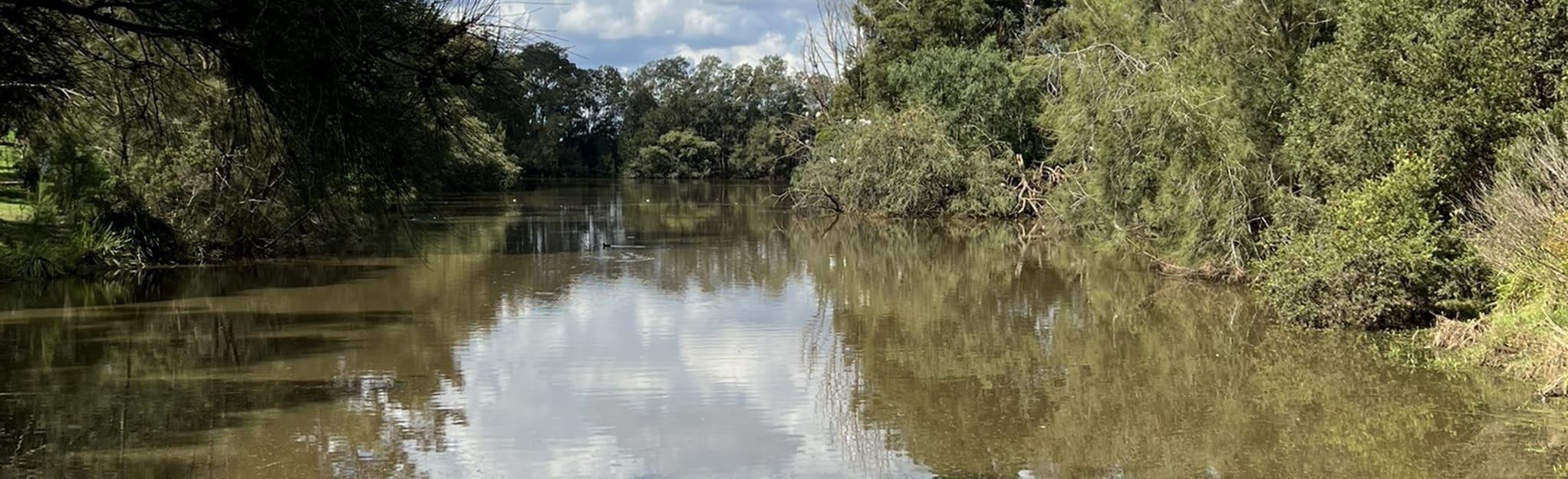 Mandurama Nature Loop, New South Wales, Australia - 22 Reviews, Map ...