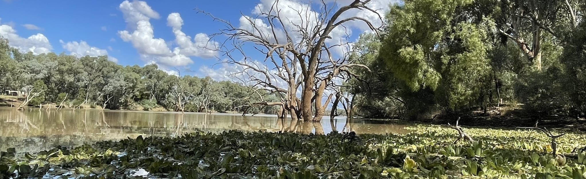 Cunnamulla Sunset Walking Trail: 4 Reviews, Map - Queensland, Australia ...