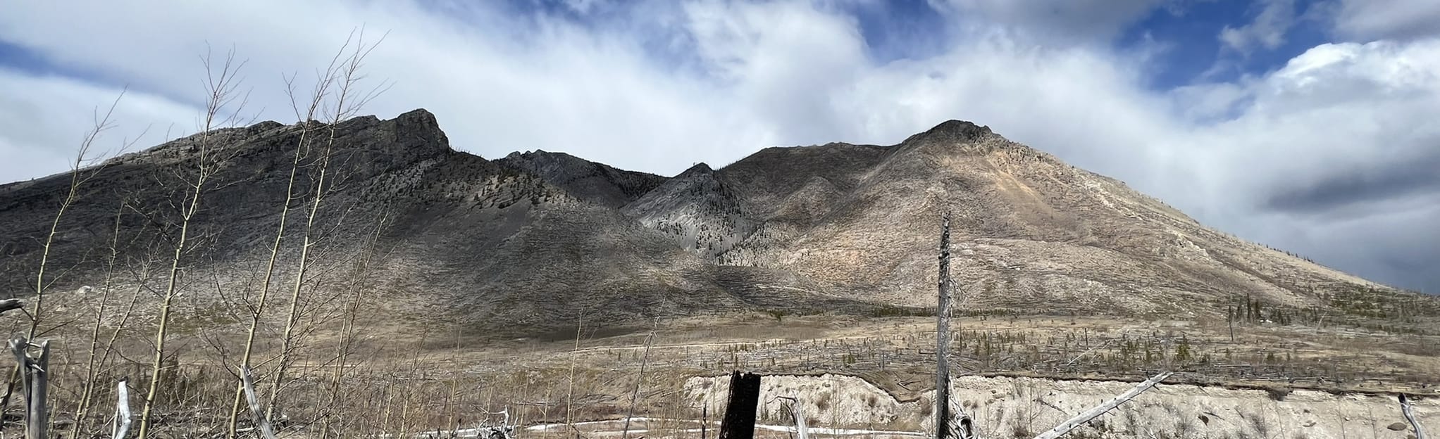 Mount Minos loop, Alberta, Canada - 3 Reviews, Map | AllTrails