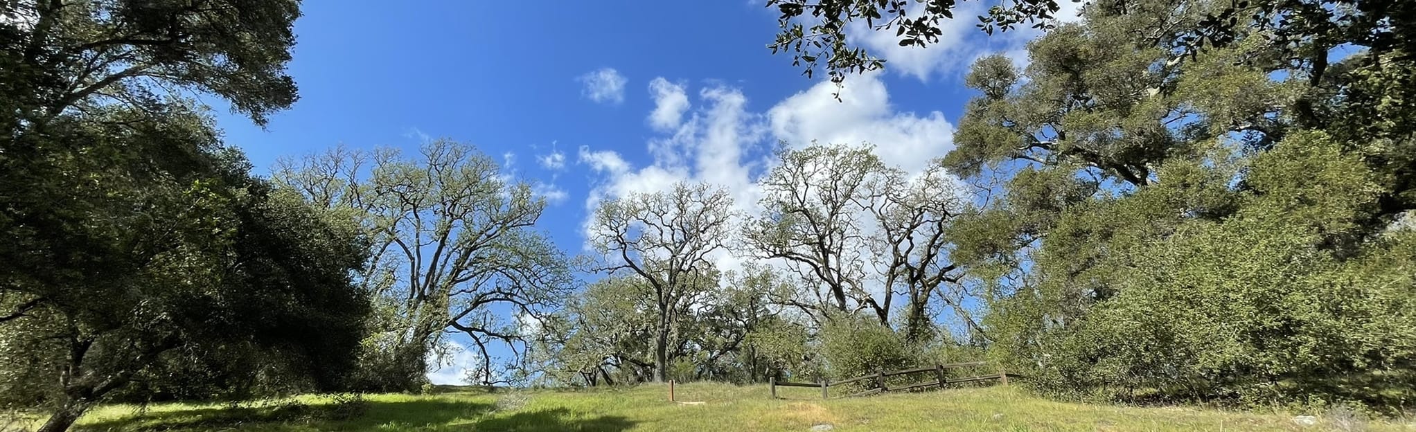 Windy Hill Loop: 2487 Reviews, Map - California | AllTrails