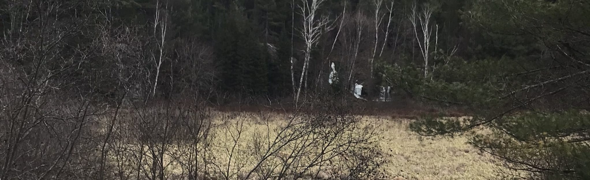 Haliburton Trail: Gelert to Kinmount, Ontario, Canada - 3 Reviews, Map ...