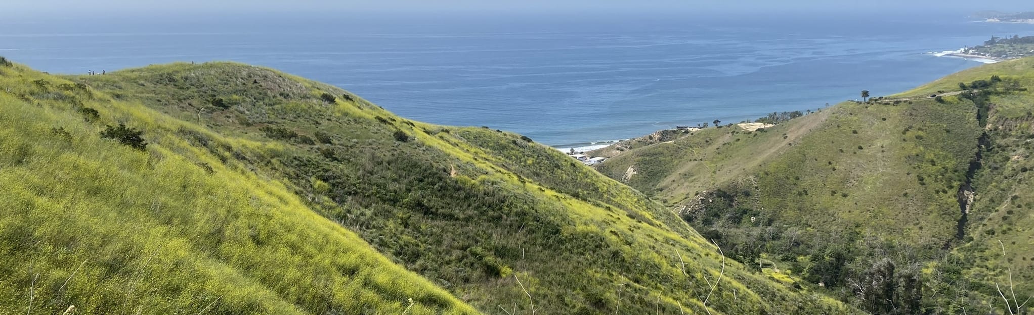 Corral Canyon Loop, California - 1,589 Reviews, Map | AllTrails