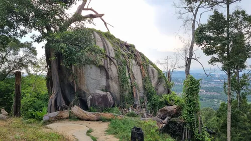 Best Forest Trails in Sungai Jawi | AllTrails