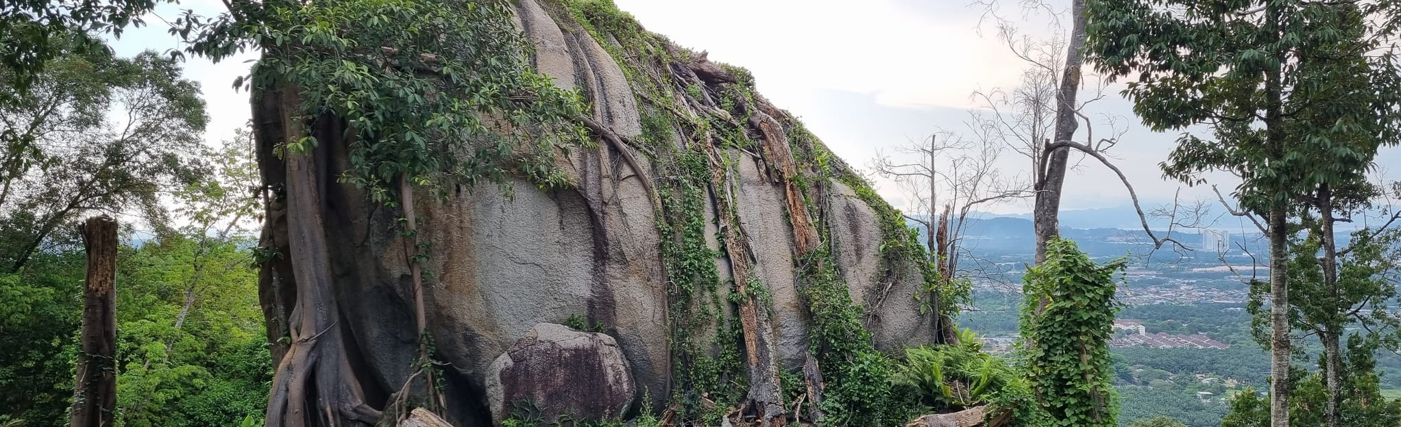 Dragon Stone Loop: 55 foto's - Penang, Maleisië | Wandelen - AllTrails