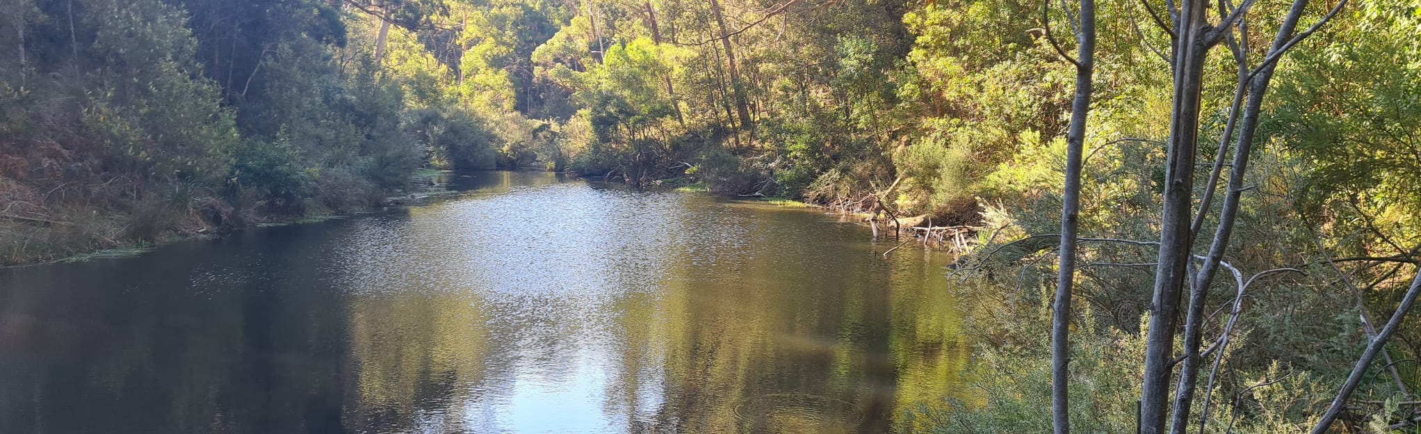 East Walk and Cowan Track Loop, Victoria, Australia - 161 Reviews, Map ...