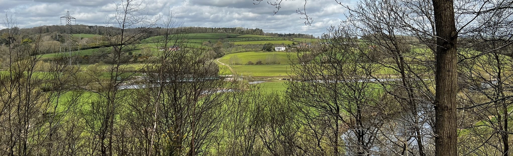 Stoke Woods Circular: 45 Reviews, Map - Devon, England | AllTrails