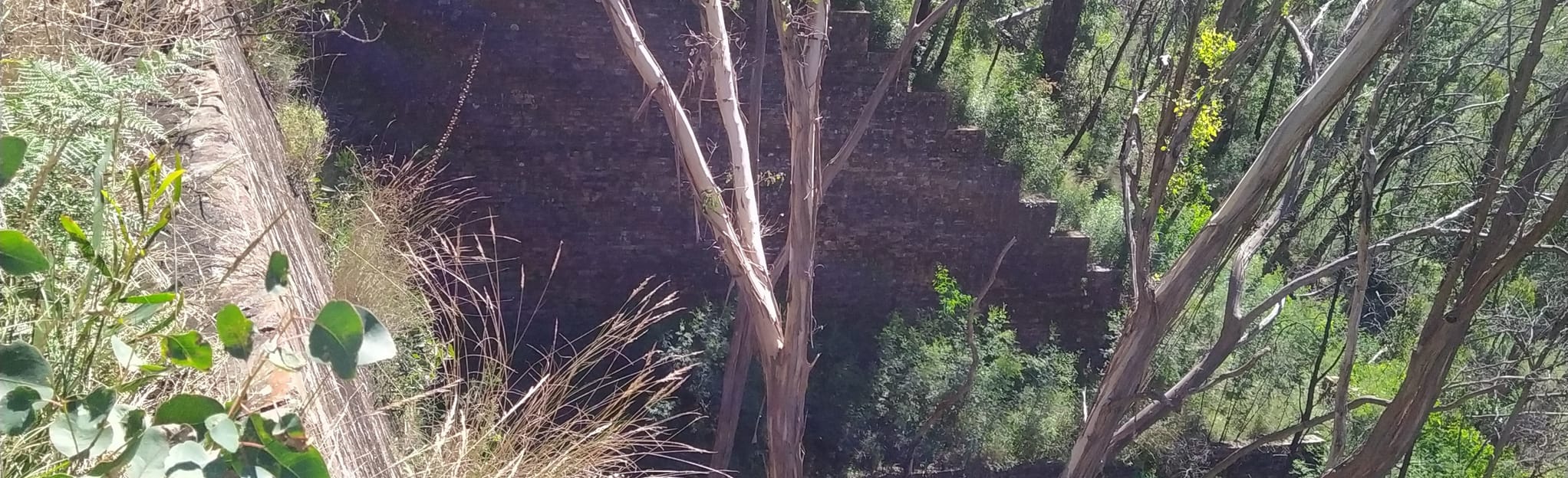 Newnes Ruin Road Track: 16 Reviews, Map - New South Wales, Australia ...