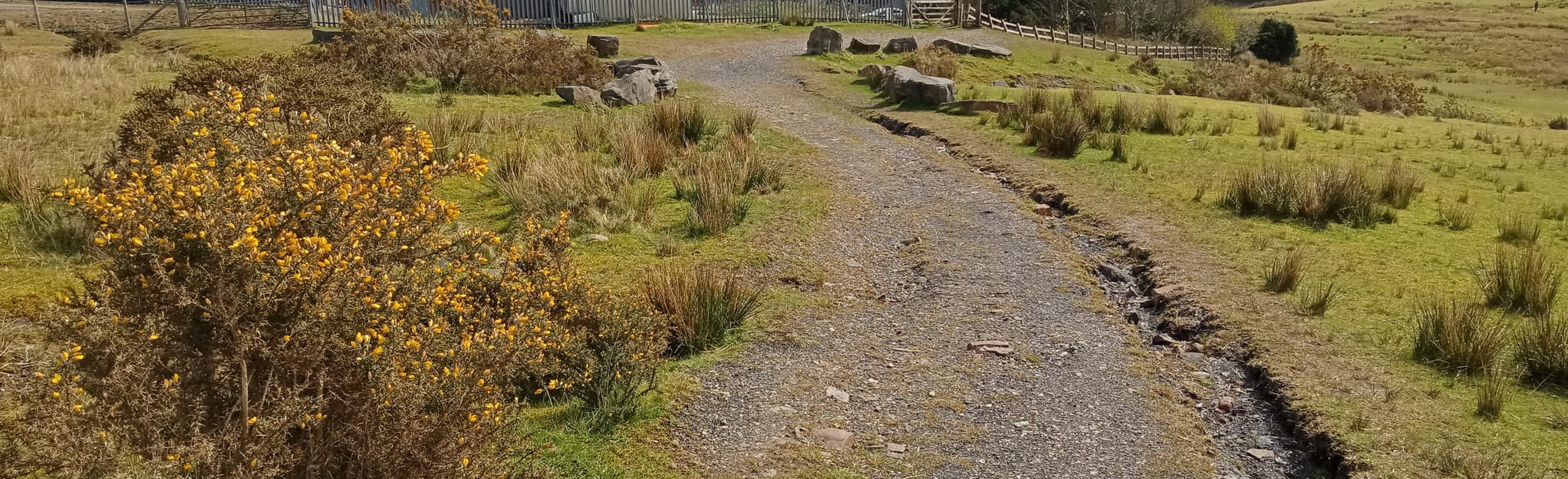 Treorchy Circular, Rhondda Cynon Taf, Wales - 29 Reviews, Map | AllTrails