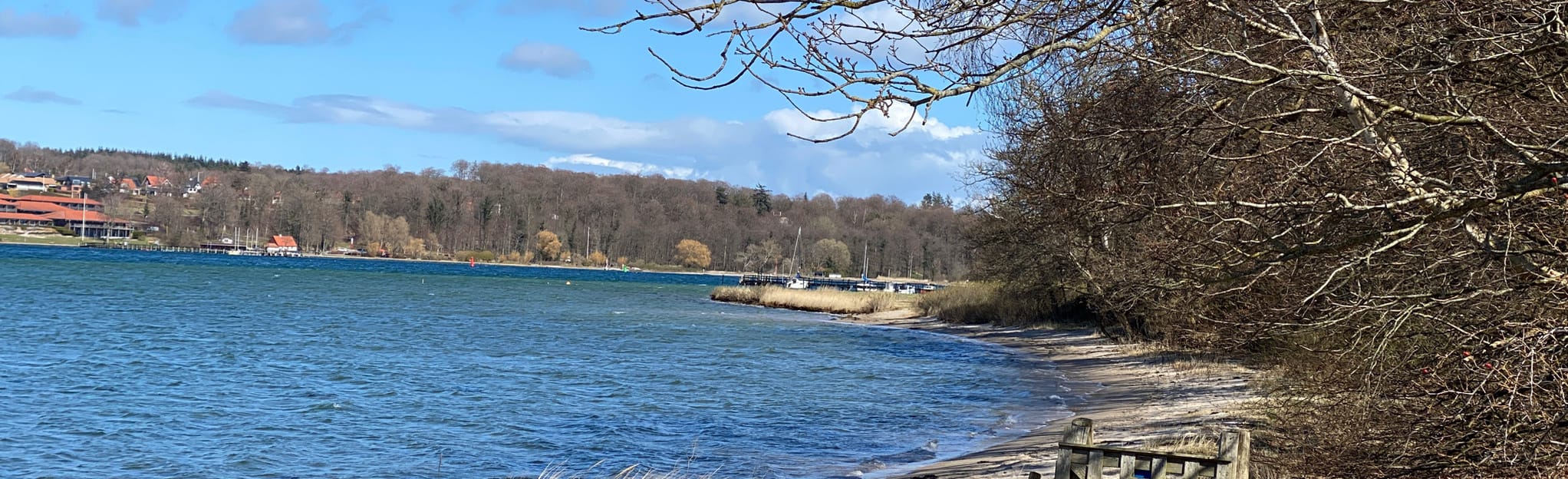 Vindebyrøe - Bregninge skov: 8 Fotos - Region Syddanmark, Dänemark ...