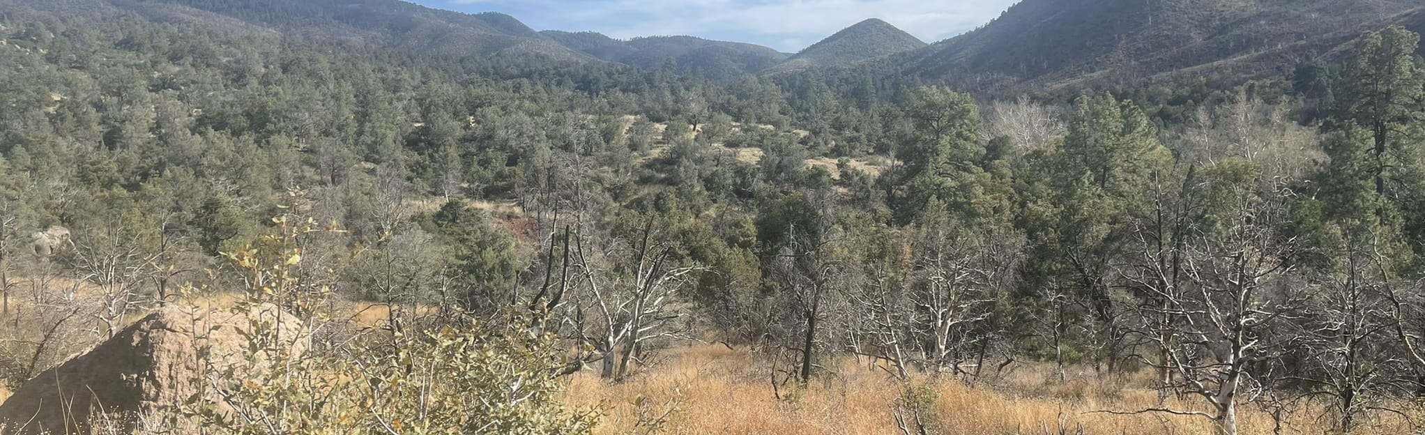 Reavis Gap Loop, Arizona - 8 Reviews, Map | AllTrails