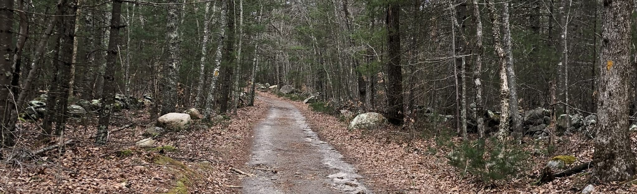 Cuttyhunk Brook Preserve Trail | Map, Guide - Rhode Island | AllTrails