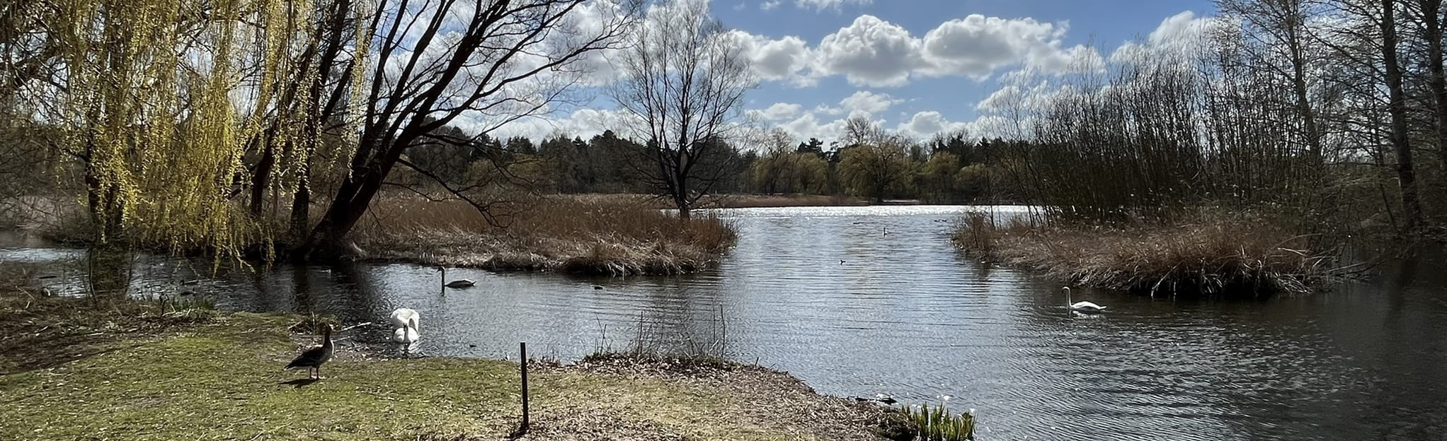 AllTrails | Utterslev Mose - Heart Trail: 138 Reviews, Map - Capital ...