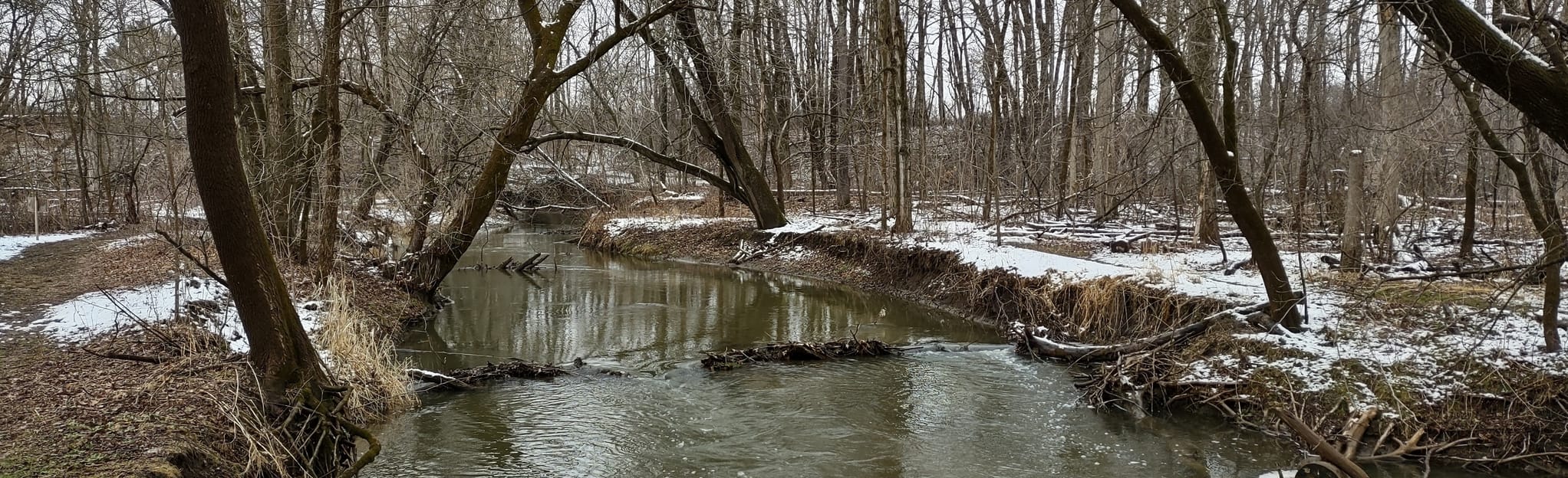 Hawthorn Hollow Nature Sanctuary and Arboretum : 89 photos - Wisconsin ...