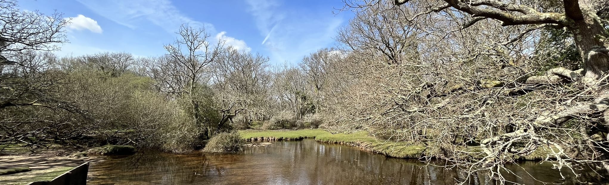 Ober Wood Circular - Hampshire, England | AllTrails