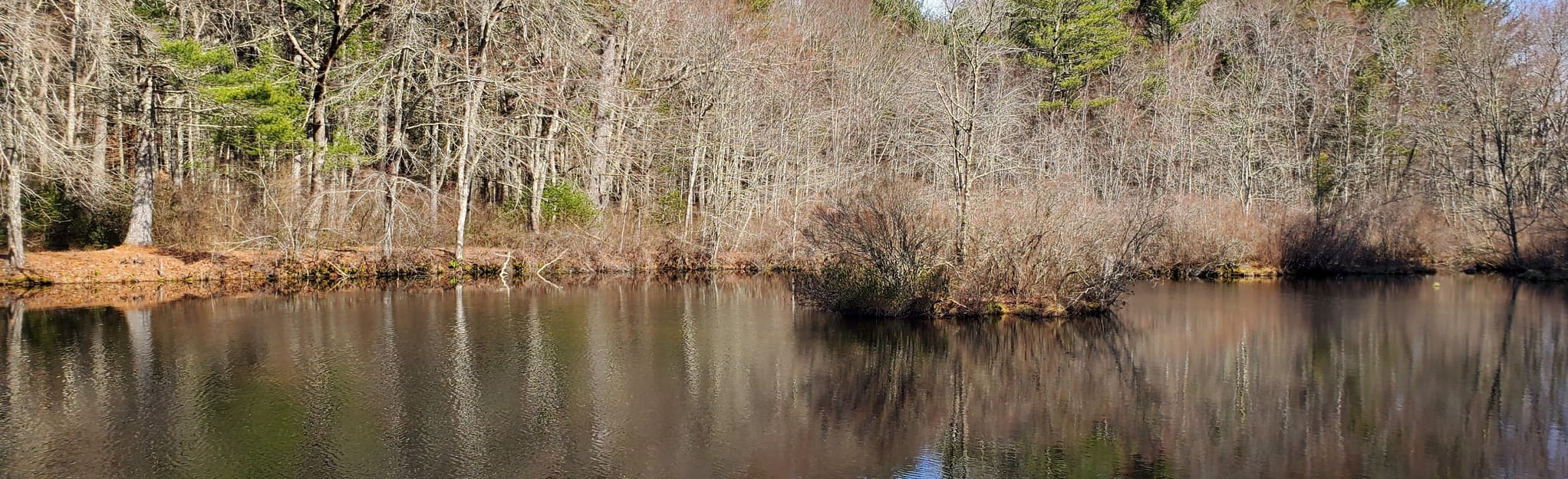 Mount Misery Loop, Connecticut - 291 Reviews, Map | AllTrails