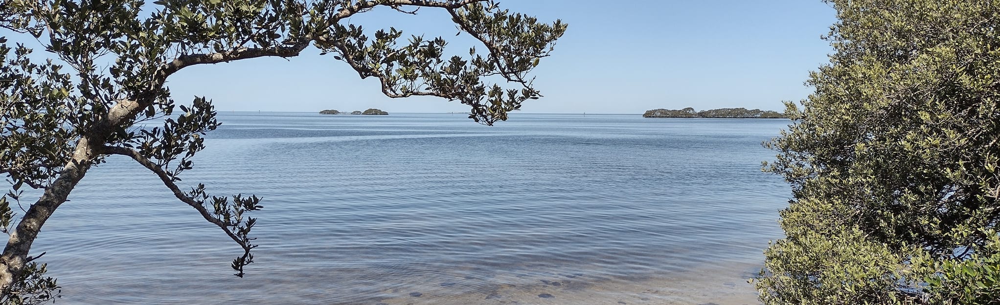 Daneman Point Pier Trail, Florida - 219 Reviews, Map | AllTrails