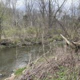 Bonner Park Loop, Pennsylvania - 236 Reviews, Map | AllTrails