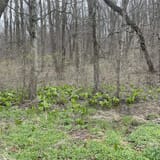 Bonner Park Loop, Pennsylvania - 236 Reviews, Map | AllTrails