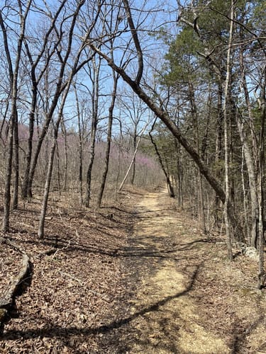 Best Hikes and Trails in Pilot Knob Conservation Area | AllTrails