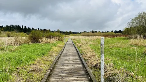 Best Hikes and Trails in North Creek Park | AllTrails