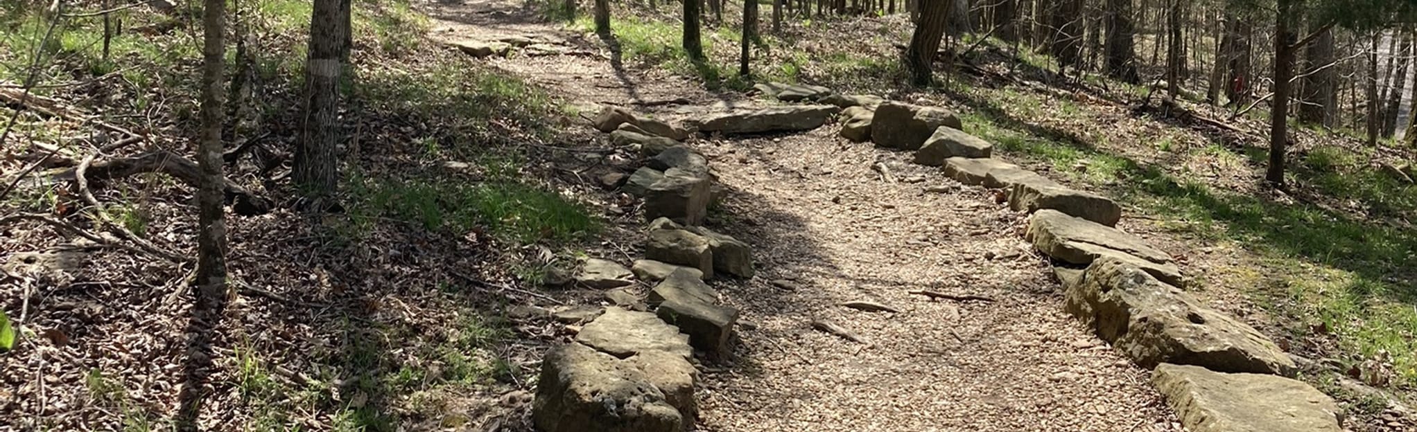 CCC Interpretive Trail: 31 Reviews, Map - Arkansas | AllTrails